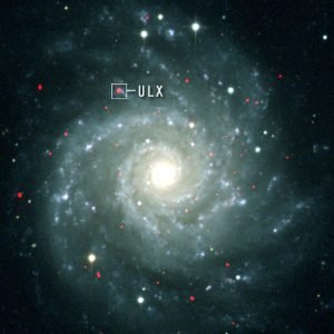 What Are The Different Types of Stars? (Ultimate Guide) - Living Cosmos